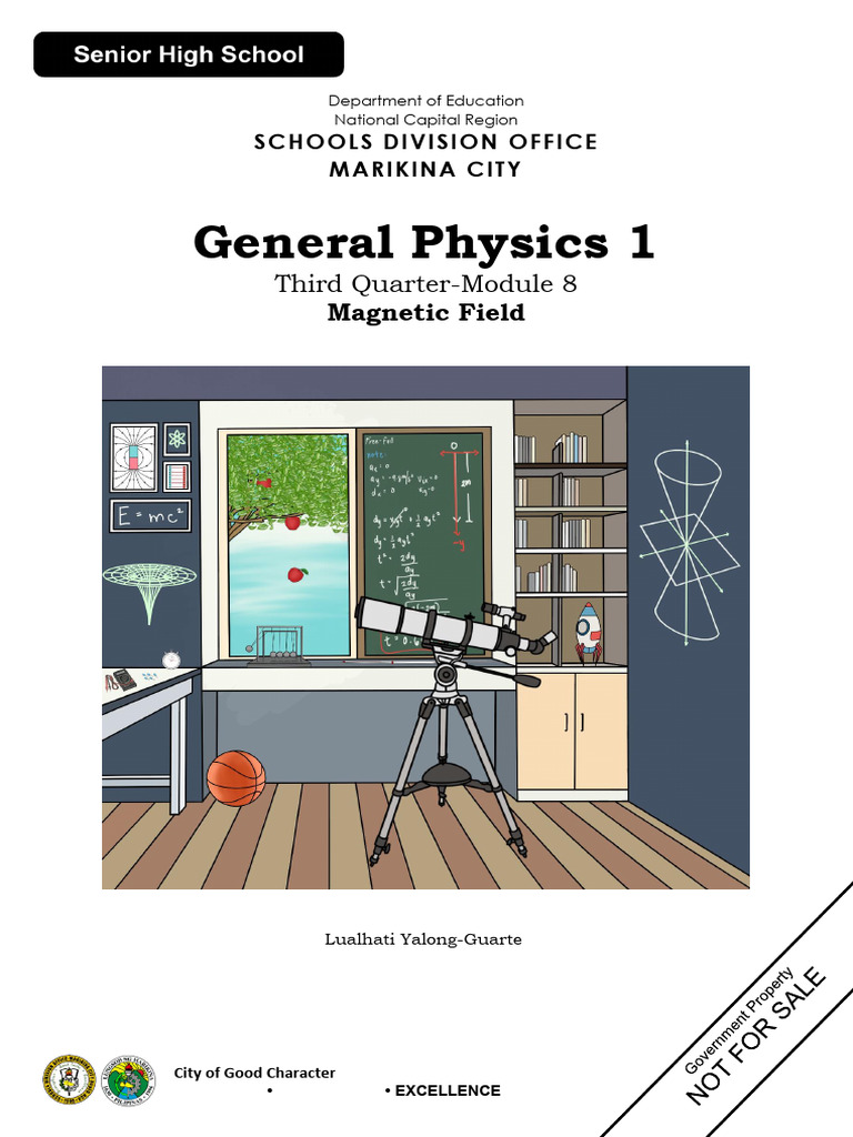 Magnetic Field Concepts in Physics | PDF | Magnetic Field | Force