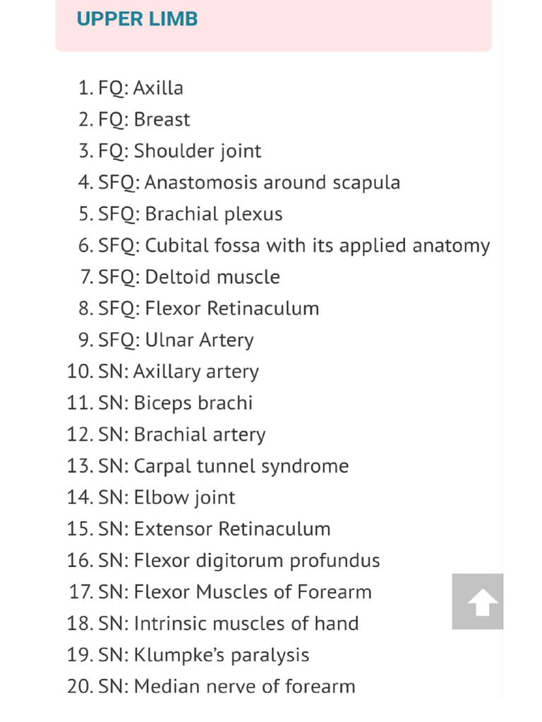 Anat Imp Quest | PDF