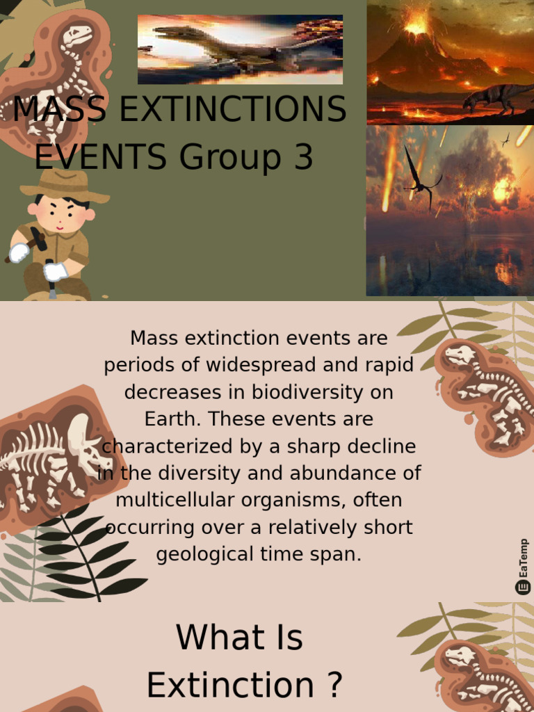 Mass Extinctions Events 1 | PDF | Extinction | Biodiversity