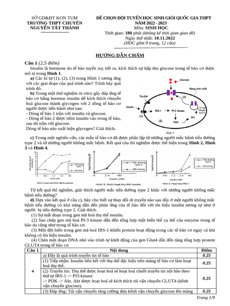 HDC QG 2023.N1 | PDF
