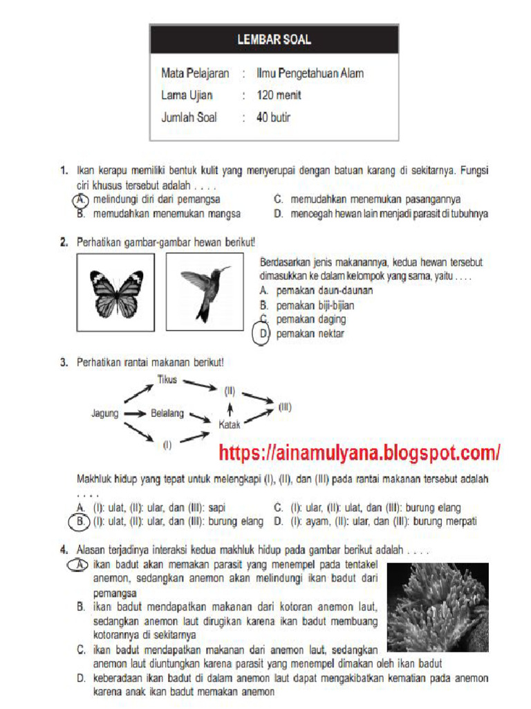 Soal Usbn Ipa Sd | PDF