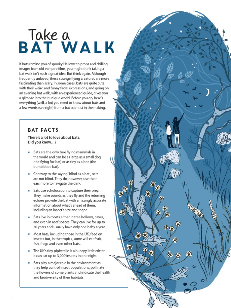 Discover Bats: Join a Bat Walk | PDF | Bat | Organisms