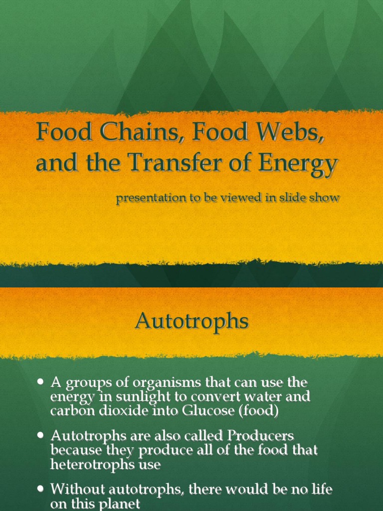 Food Chains, Food Webs, and The | PDF | Food Web | Systems Biology