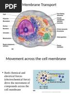 Mechanisms of Cell Membrane Transport | PDF | Cell Membrane | Cell Signaling