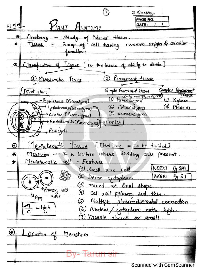 Anatomy of Flowering Plants - Handwritten Notes - Plant Anatomy (1) (1 ...
