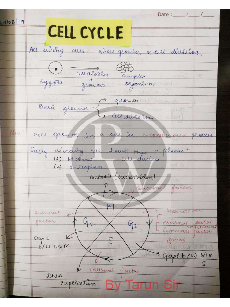 Cell Cycle & Cell Division 01 - Handwritten Notes - Cell Cycle Notes ...