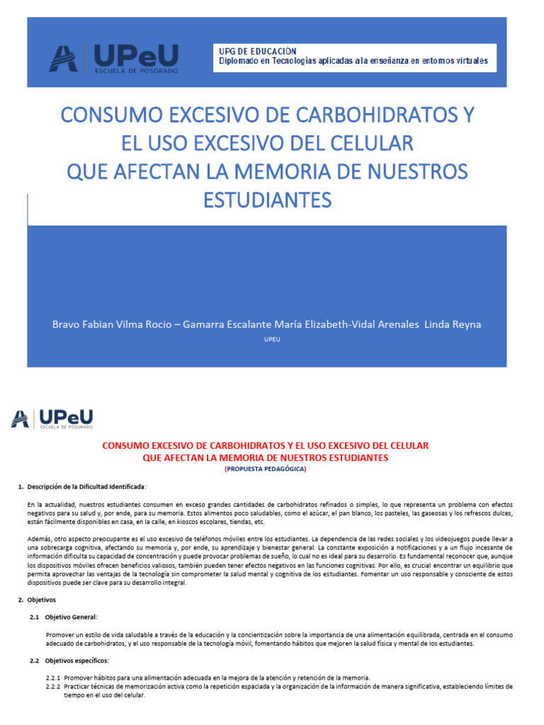 Propuesta Pedagógica. Elizabeth Gamarra_vilma Bravo_linda Vidal | PDF ...