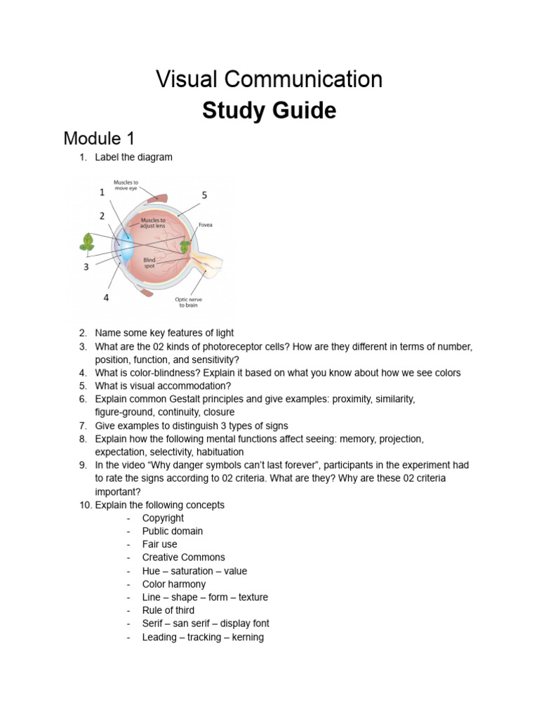 Spring 2025 Visual Communication - Study Guide | PDF