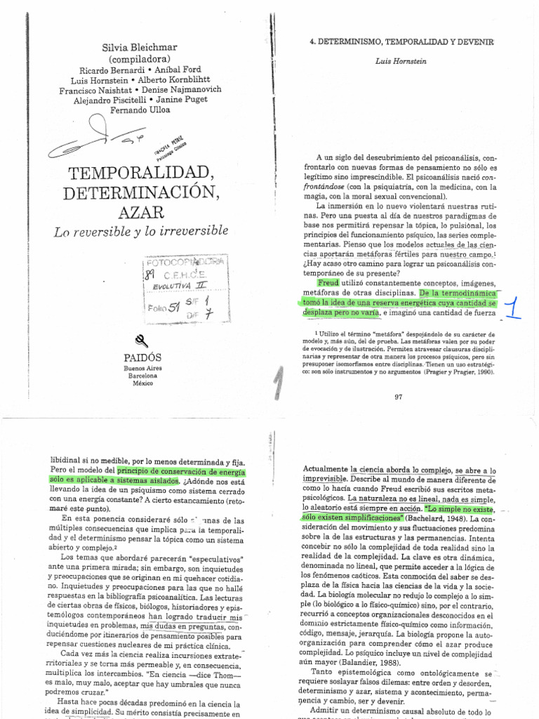 HORNSTEIN L. Determinismo, Temporalidad y Devenir en Temporalidad ...