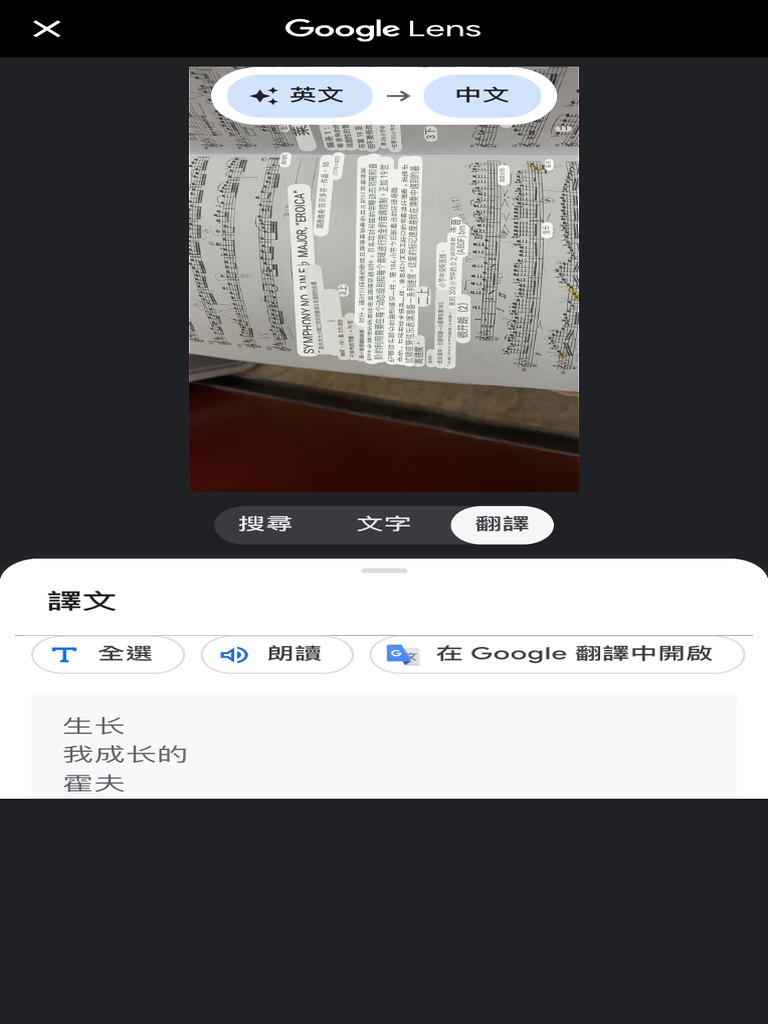 Google Lens | PDF