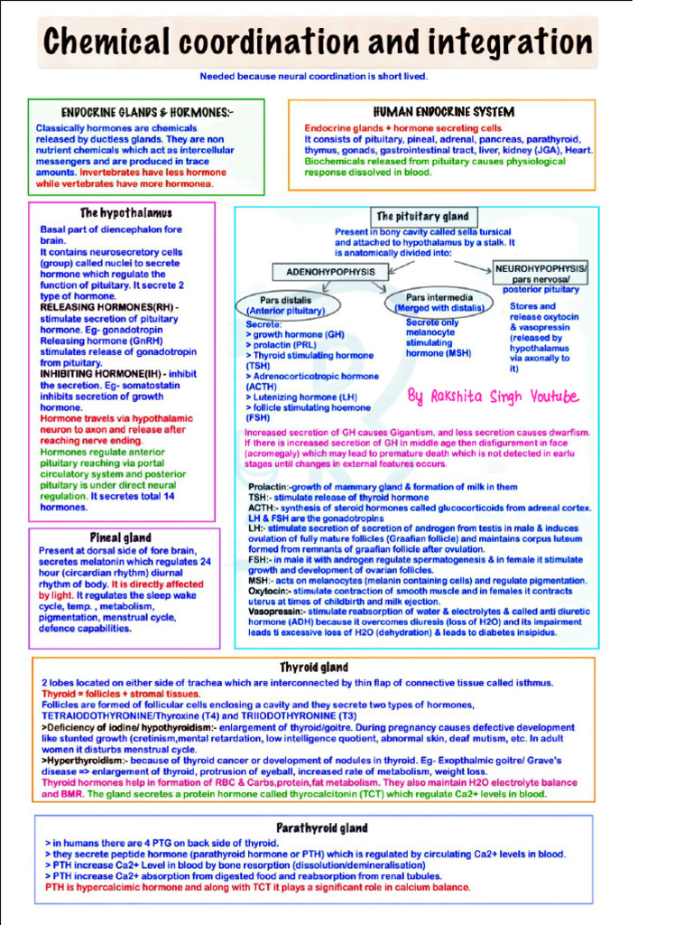 CHEMICAL COORDINATION AND INTEGRATION -1 | PDF