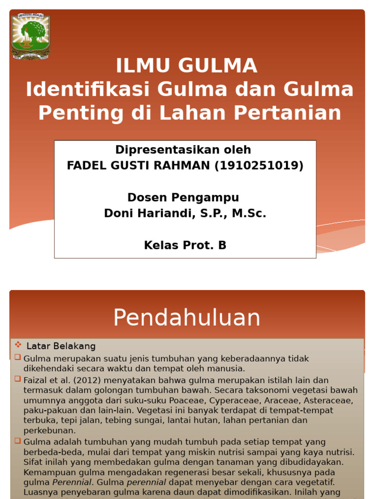 Fadel Gusti Rahman - 1910251019 - ILMU GULMA PROT B - Identifikasi ...