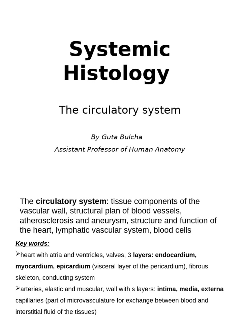 1 Circulation System Blood Engl | PDF | Artery | Capillary