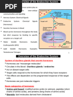 GR 12 LS Topic 7 - Human Endocrine System and Homeostasis | PDF ...