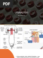 Urinalysis OSCE Guide | PDF | Urine | Urology