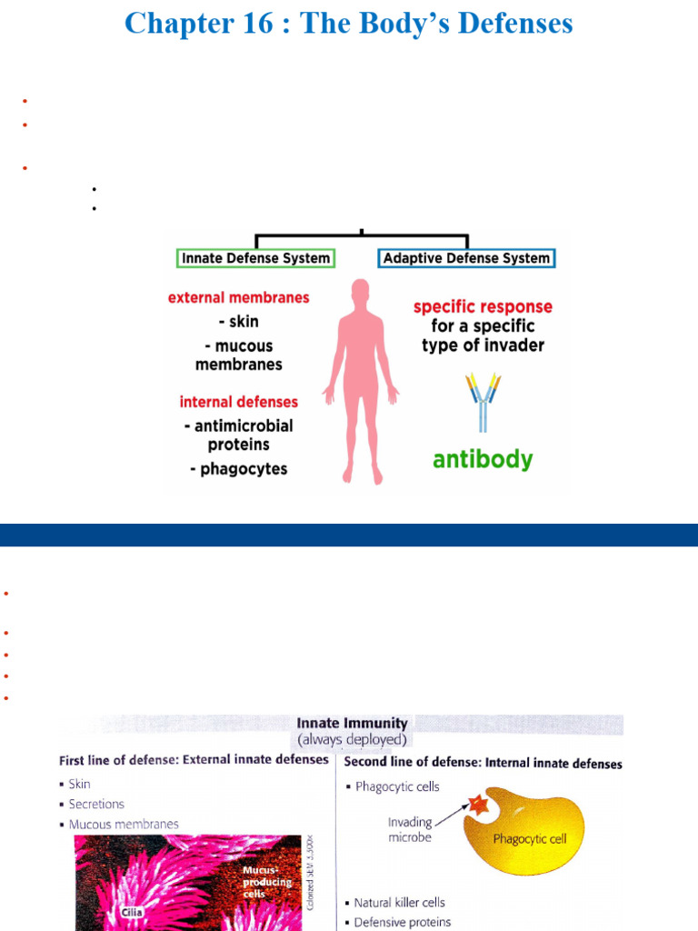 The Body Defenses Djs 22-23 | PDF | Innate Immune System | Immune System