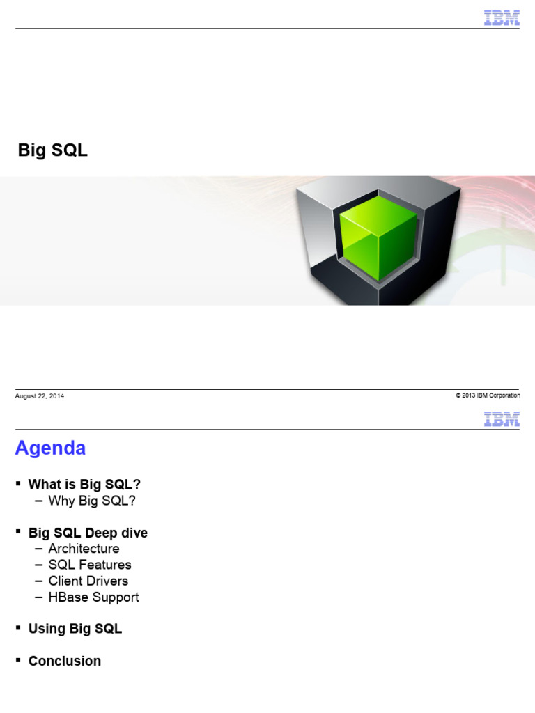 12_big_sql | PDF | Sql | Computer Programming