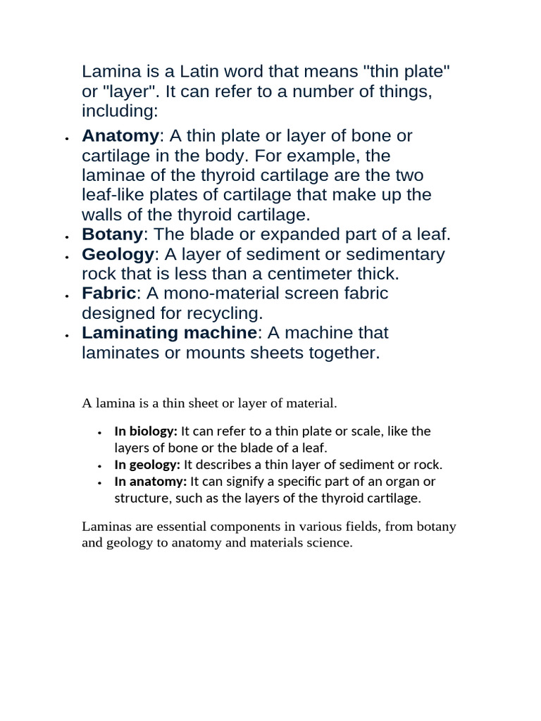 Lamina | PDF