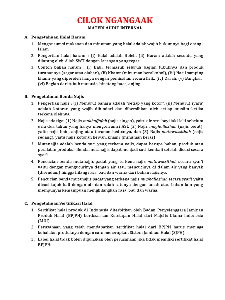 Materi Audit Internal | PDF
