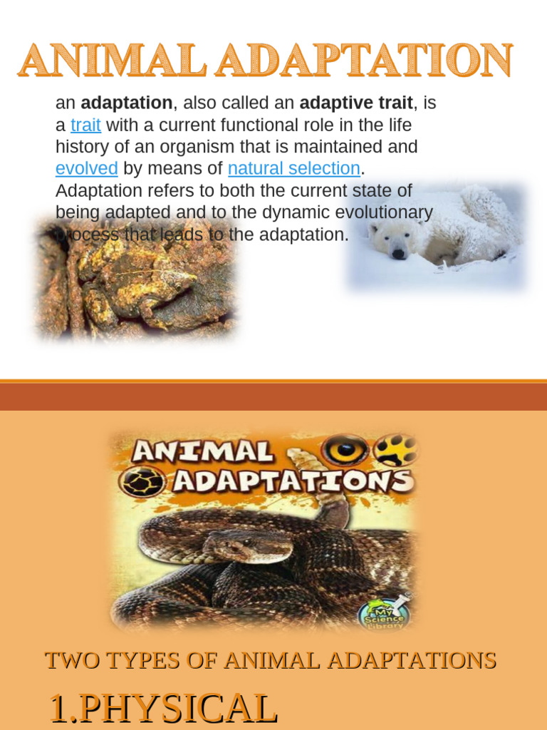 Animal Adaptations PPT | PDF