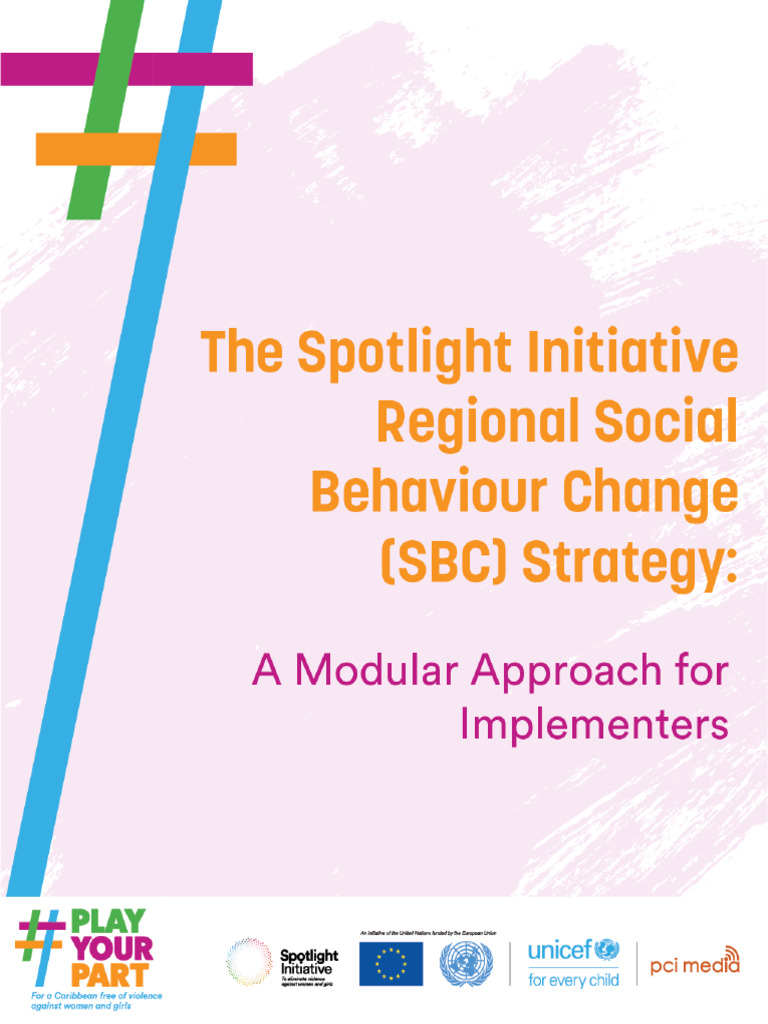 SBCC Regional Strategy | PDF | Violence | Domestic Violence