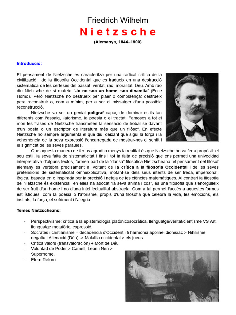 [cat] Dossier Nietzsche_2c881770e5961261420f5286810437b5 (2) | PDF