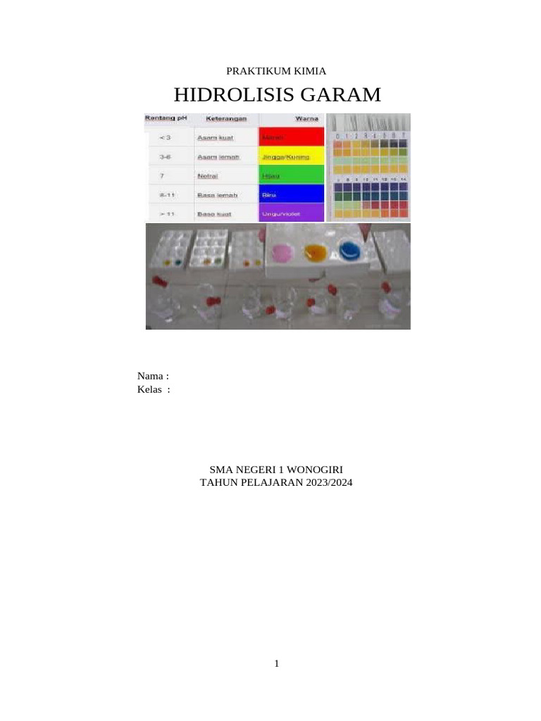 Laporan Praktikum Hidrolisis.2024 | PDF