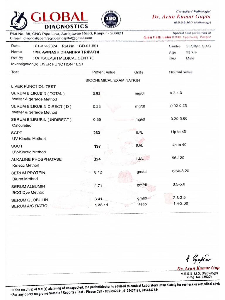 MR Avinash - Liver Profile | PDF