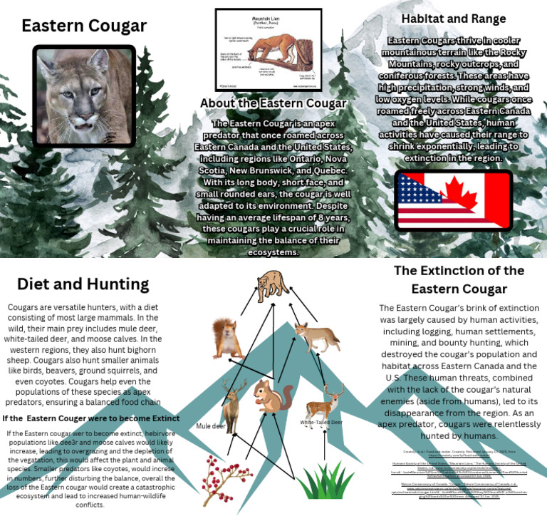 Your Paragraph Text | PDF | Cougar | Hunting