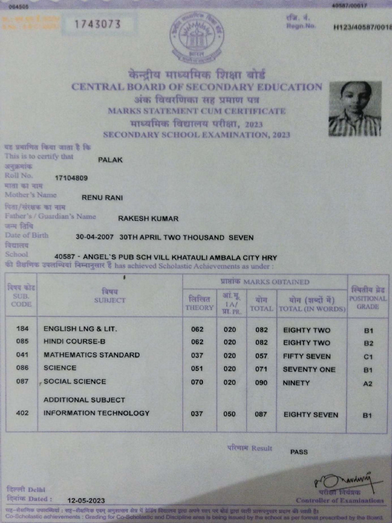 Class X Certificate | PDF