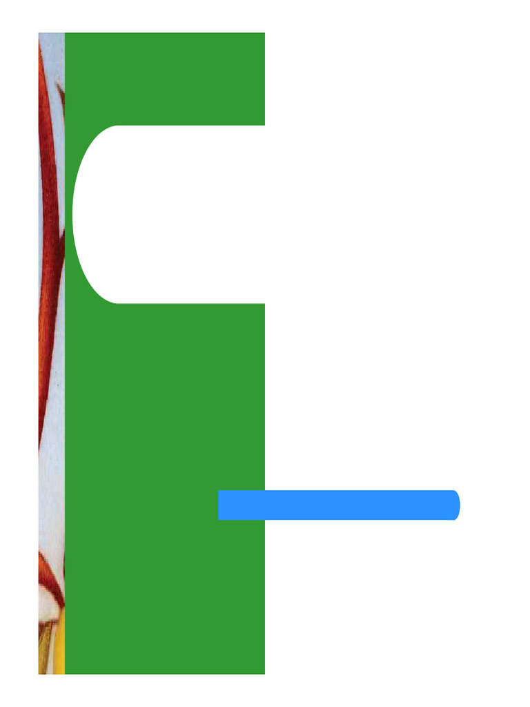 6 - CMP 215 - Modules 6,7 and 9 (Excel Lessons) | PDF | Microsoft Excel ...