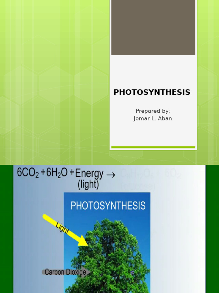 PHOTOSYNTHESIS (Simplified) | PDF