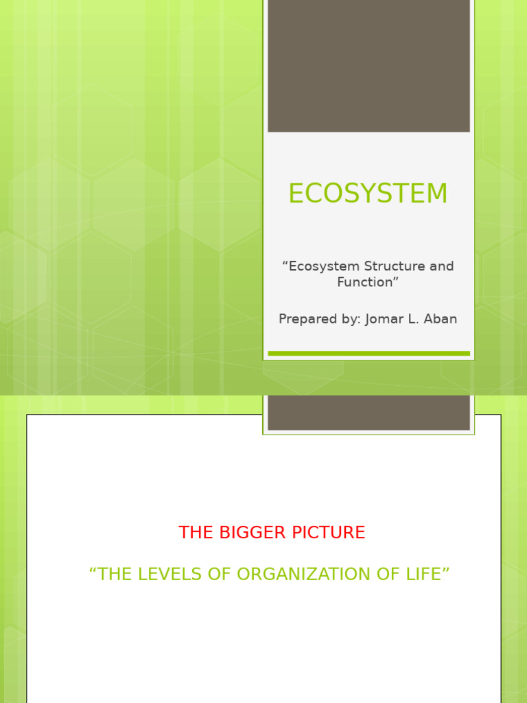 Ecosystem Structure and Function Overview | PDF | Food Web | Natural ...