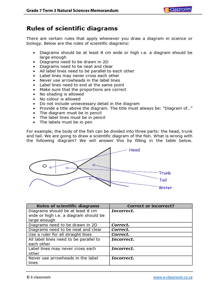 01 Scientific Diagrams Memo Pdf