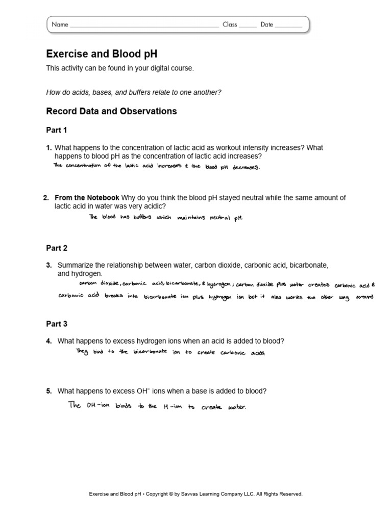 Biology Ch+2 Excerise+and+Blood+PH+Worksheet | PDF