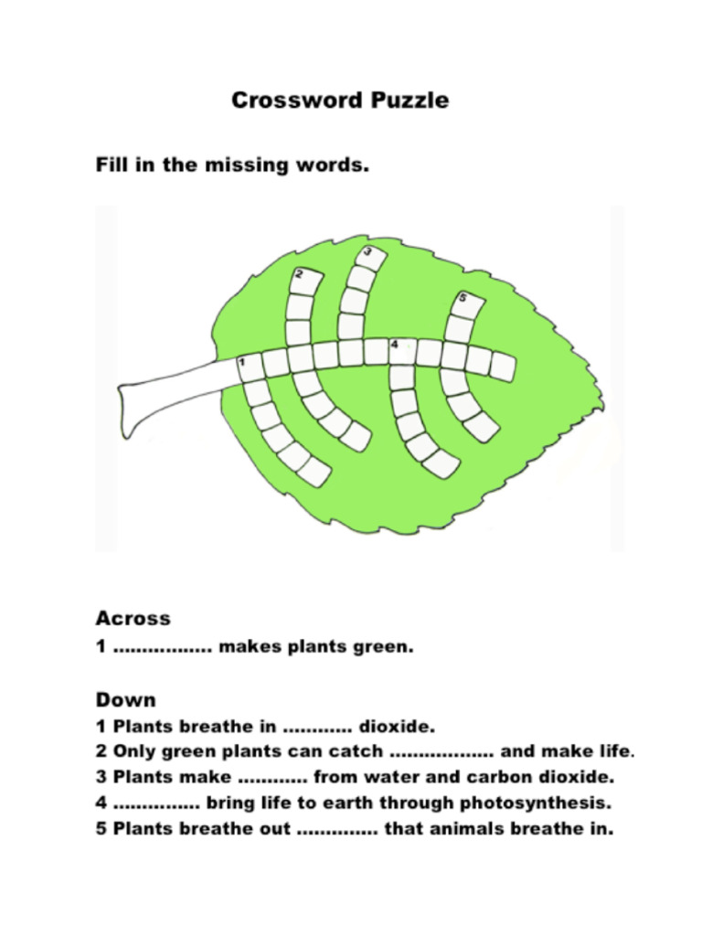 Photosynthesis Crossword | PDF