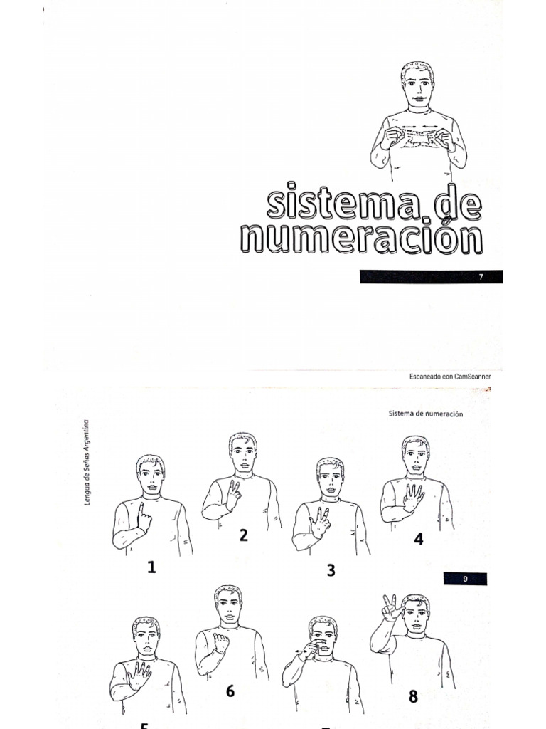 Vocabulario Nivel 1 | PDF Vocabulario Nivel 1 | PDF