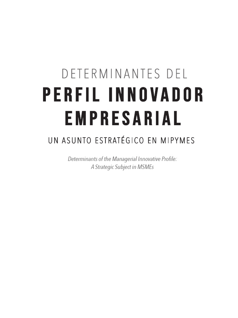 Libro Perfil Final | PDF | Pequeñas y medianas empresas | Business