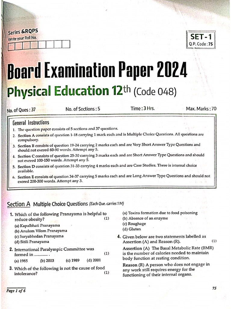 Sample Paper | PDF
