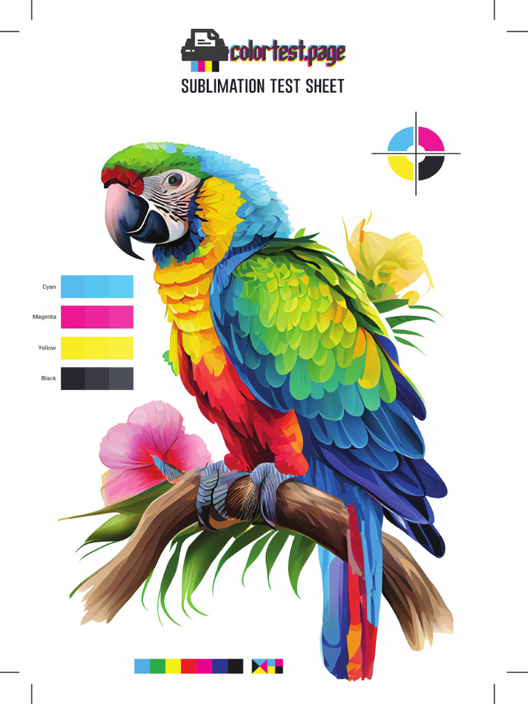 Sublimation Test Sheet Vivid | PDF