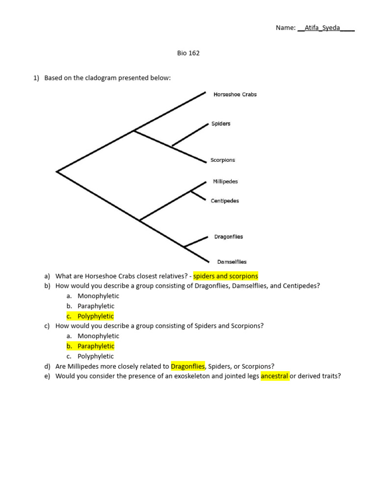 Bio 162 Cladogram Exercise | PDF