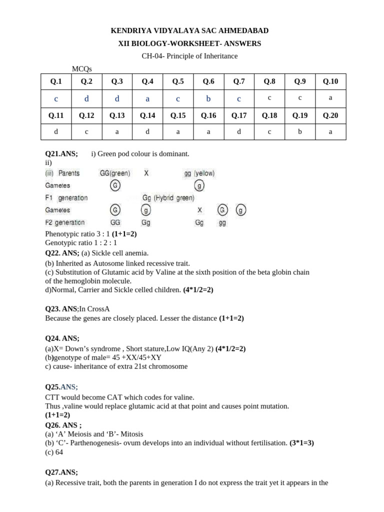 Xii Bio Worksheet-Principle of Inheritance-Answers | PDF | Dominance ...