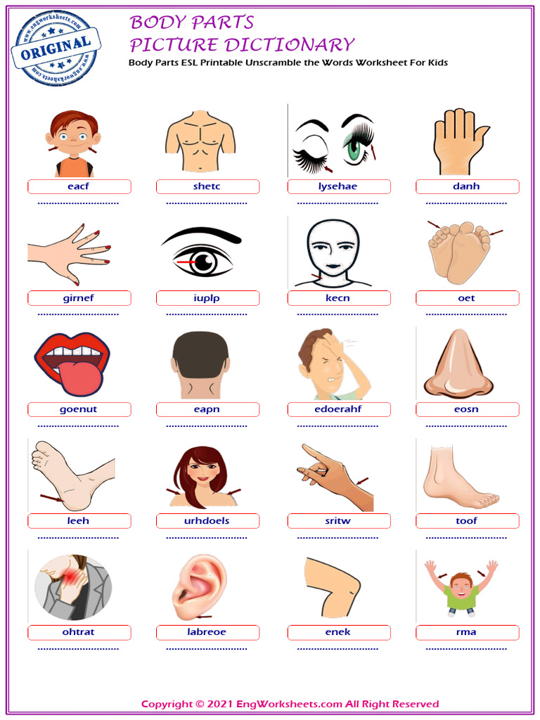 Body Parts Esl Printable Unscramble The Words Worksheet For Kids 9979 | PDF
