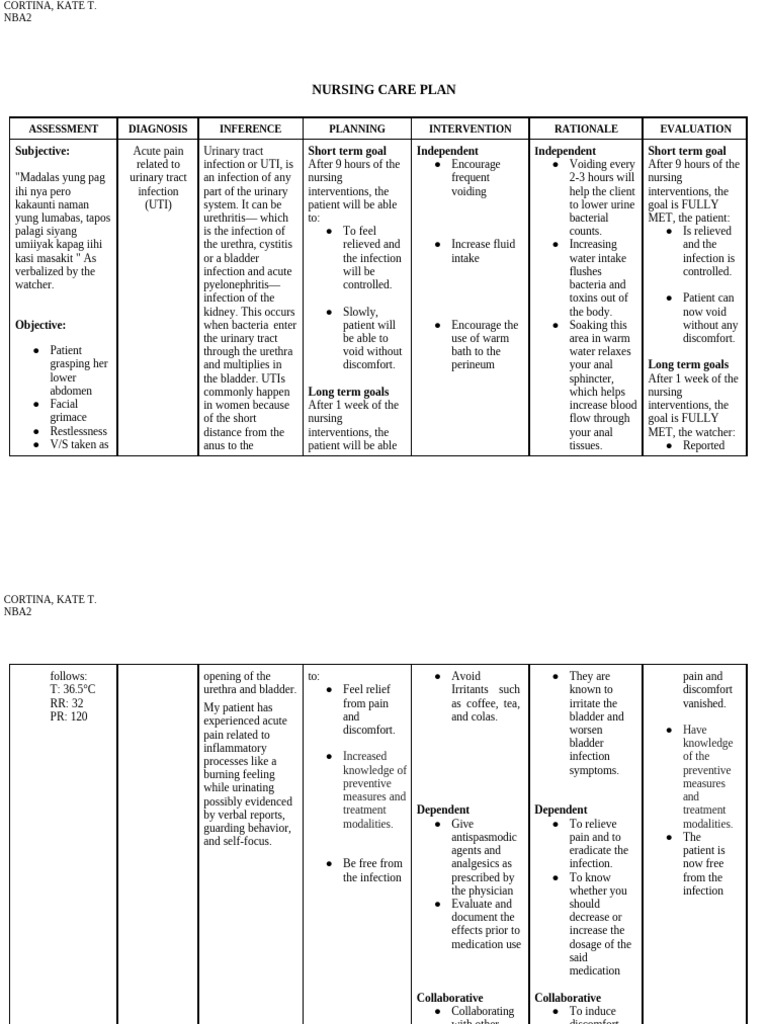 NCP Uti Nursing Care Plan Uti | PDF | Urinary Tract Infection | Urinary ...