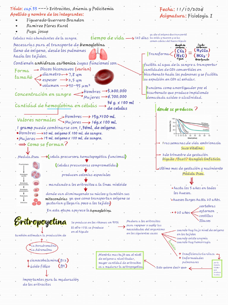 Informe Eritrocitos, Anemia y Policitemia_imp | PDF