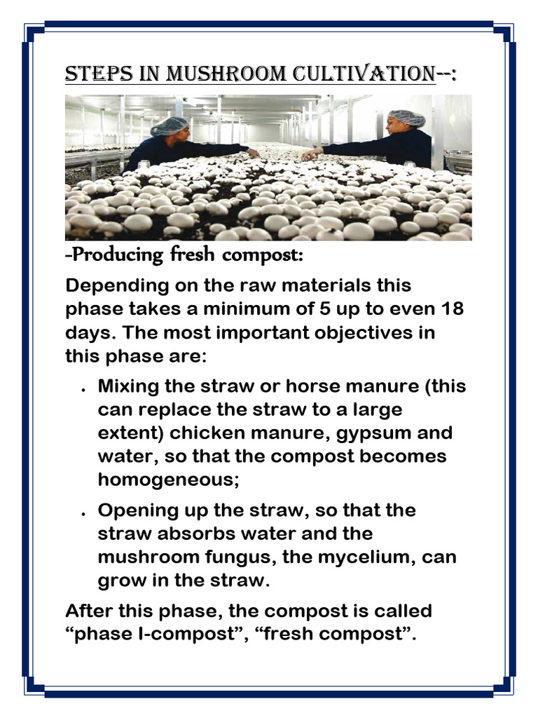 Steps in Mushroom Cultivation Renew Edition | PDF