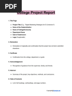 College Project Report Template | PDF