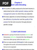 Official List of Breed Codes For Bovine: Beef Breeds | PDF | Livestock | Mammal Breeds