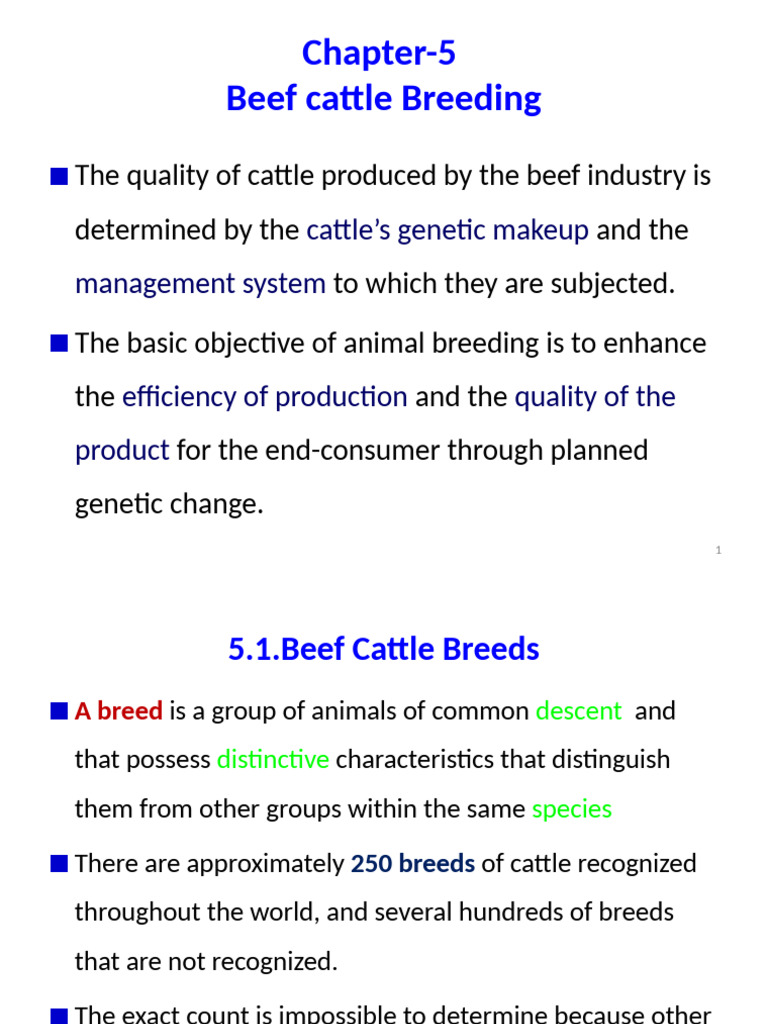 Beef Breeding New (2013..2021) | PDF | Cattle | Inbreeding