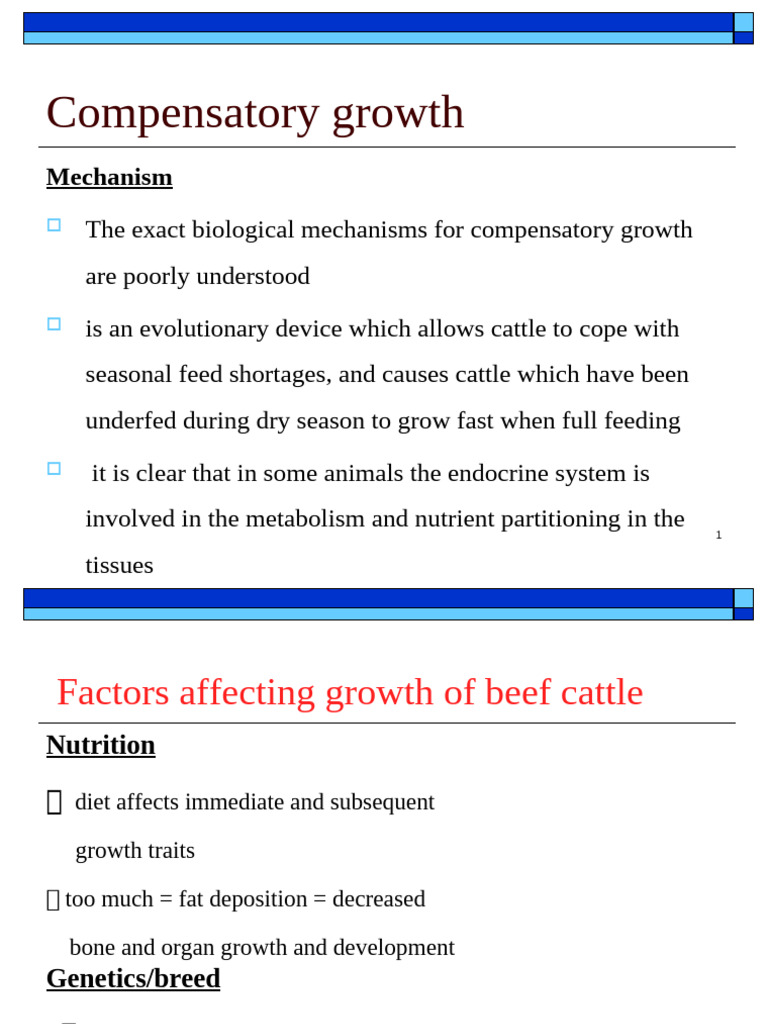 Beef Cattle Nutrition and Growth Factors | PDF | Ruminant | Cattle